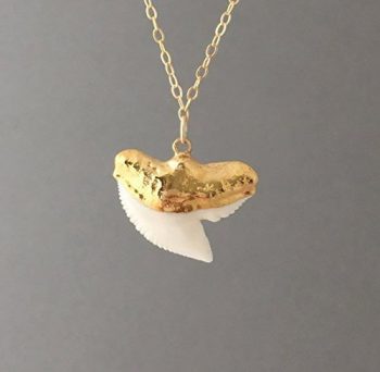 Shark Tooth Necklaces: The Perfect Wild Accessory! | JewelryJealousy