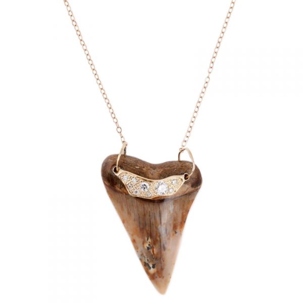 Shark Tooth Necklaces: The Perfect Wild Accessory! | JewelryJealousy